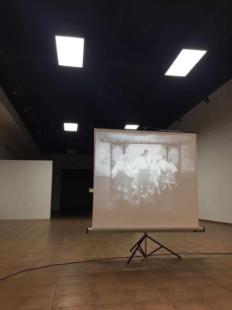 The Dance files. Floria Capsali exhibition - Placerile lui Noe
